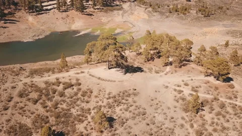 Aerial shot of the Cassandra tree locate... | Stock Video | Pond5