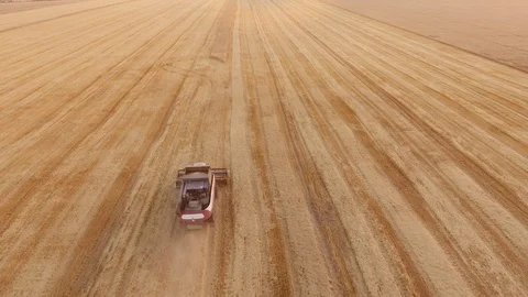 Reaping P Stock Videos – Royalty-Free HD & 4K Videos | Page 2