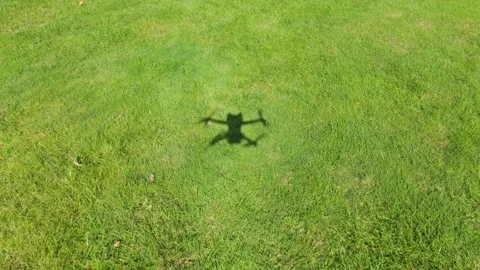 Cast Under Stock Videos – Royalty-Free HD & 4K Videos