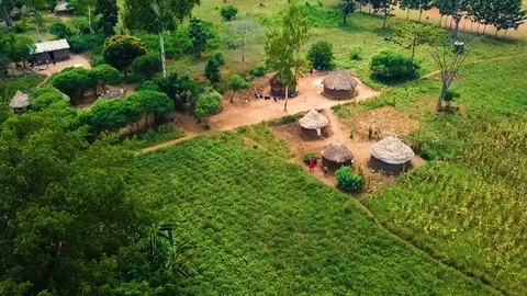 Village Huts Stock Videos – Royalty-Free HD & 4K Videos