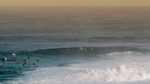 Jaws Stock Footage ~ Royalty Free Stock Videos | Pond5