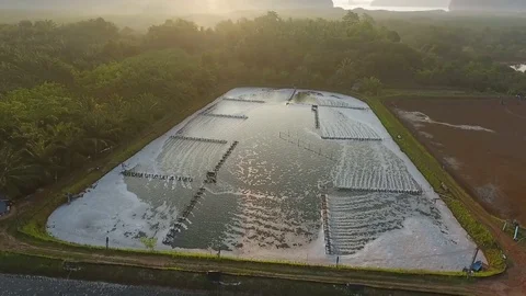 Aerial: Shrimp and Prawn Farm Pool. Phan... | Stock Video | Pond5