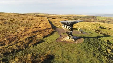 Aerial singing ringing tree musical pano... | Stock Video | Pond5