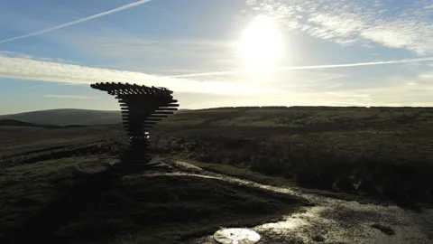 Aerial singing ringing tree musical pano... | Stock Video | Pond5