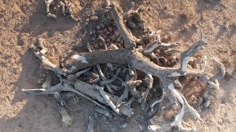 Aerial spinning top view of fallen dead ... | Stock Video | Pond5