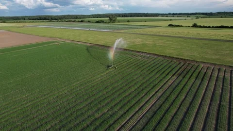 Aerial Sprinkler Water Irrigation Farm C... | Stock Video | Pond5