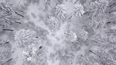 Wallpaqper Down Stock Footage ~ Royalty Free Stock Videos | Pond5