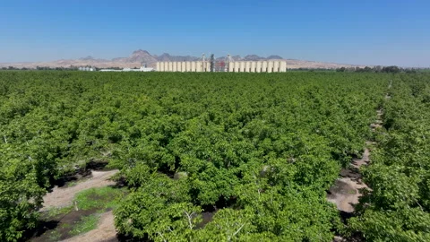 Aerial Sutter California rice grain elev... | Stock Video | Pond5