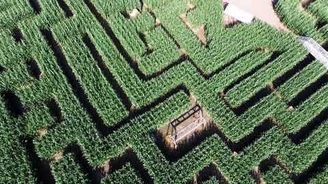 Maze Layout Stock Footage ~ Royalty Free Stock Videos | Pond5