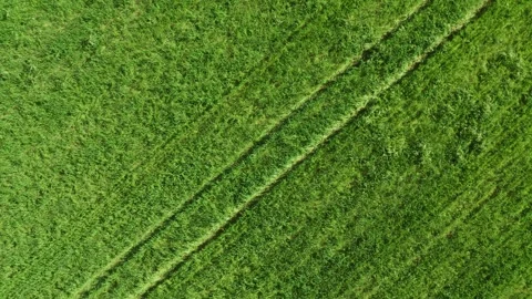 Aerial top down green grass field sunny ... | Stock Video | Pond5