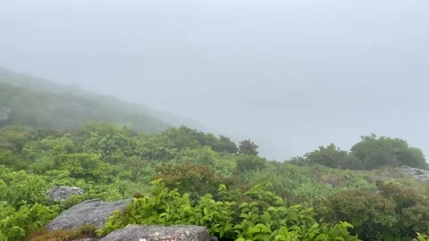 Aerial top down shot of dense fog and cl... | Stock Video | Pond5