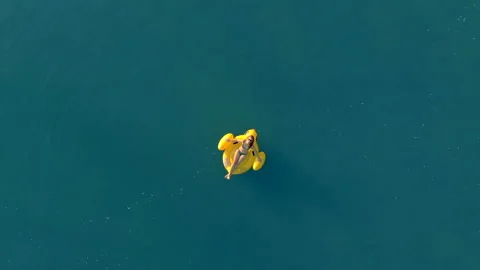 Yellow Duck Stock Footage ~ Royalty Free Stock Videos | Pond5