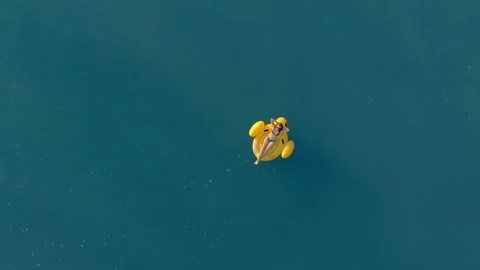 Yellow Duck Stock Footage ~ Royalty Free Stock Videos | Pond5