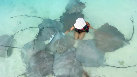 Aerial top down view caucasian woman in ... | Stock Video | Pond5