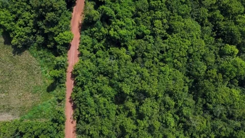 Aerial top down view of dirt road in tro... | Stock Video | Pond5