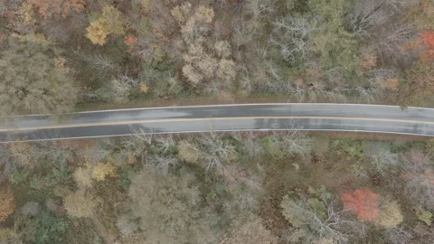 Aerial Top Down View of Fall Foliage Aut... | Stock Video | Pond5