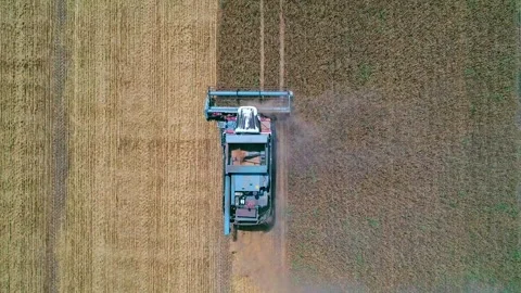 Aerial top down view of farm machine har... | Stock Video | Pond5
