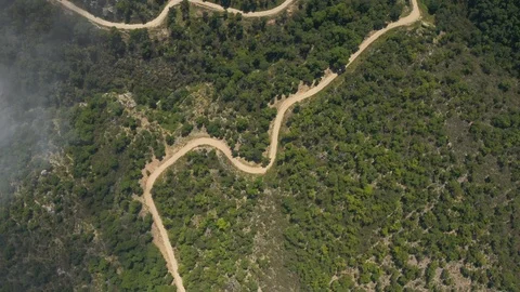 Aerial top down view of forest pathway i... | Stock Video | Pond5