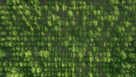 B52 Top Down Stock Videos – Royalty-Free HD & 4K Videos | Pond5