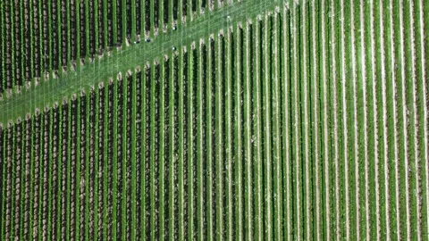 An aerial, top down view over a large vi... | Stock Video | Pond5
