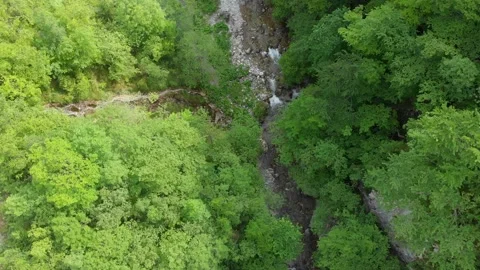 aerial top down view of secluded stream ... | Stock Video | Pond5
