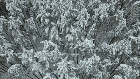Aerial top down view of the snowy winter... | Stock Video | Pond5