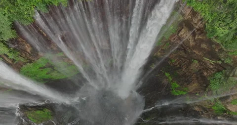 Aerial Top Downward Shot Of Bird Flying ... | Stock Video | Pond5