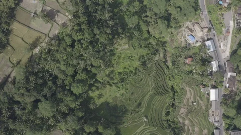 aerial top view of bali rice field famou... | Stock Video | Pond5