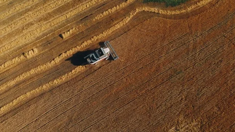 Aerial top view: combine harvester in su... | Stock Video | Pond5