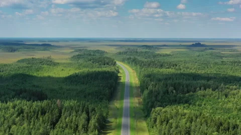 Aerial top view on country road in fores... | Stock Video | Pond5