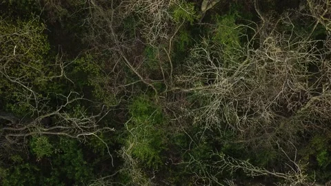 Aerial Grass Stock Video Footage | Royalty Free Aerial Grass Videos | Pond5