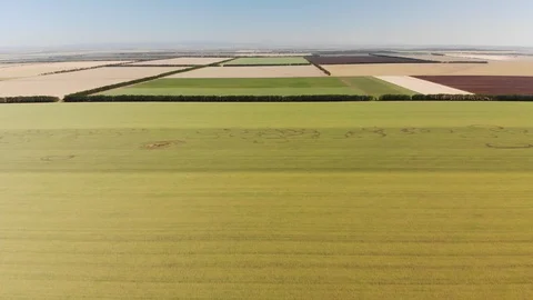 Crop Fields Aerial Stock Video Footage | Royalty Free Crop Fields ...