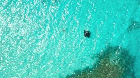 Aerial top view at the Manta ray, big st... | Stock Video | Pond5