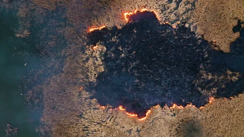 Aerial Top View of Natural Conflagration... | Stock Video | Pond5
