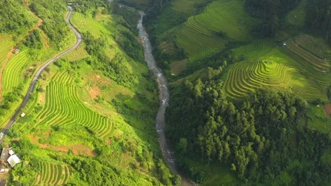 Aerial top view of paddy rice terraces, ... | Stock Video | Pond5