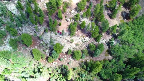 Aerial Top View Shot Of Rocks Amidst Tre... | Stock Video | Pond5