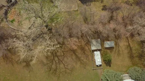 Trees Top Shot Stock Videos – Royalty-Free HD & 4K Videos | Pond5