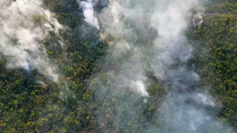 Aerial top view of smoke from wildfire i... | Stock Video | Pond5