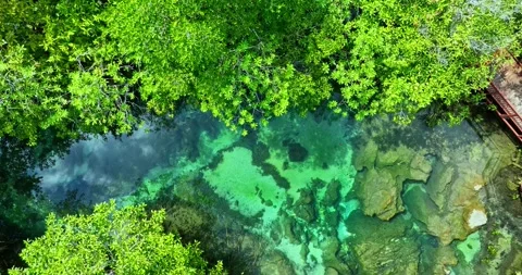 Top Streams Stock Videos – Royalty-Free HD & 4K Videos