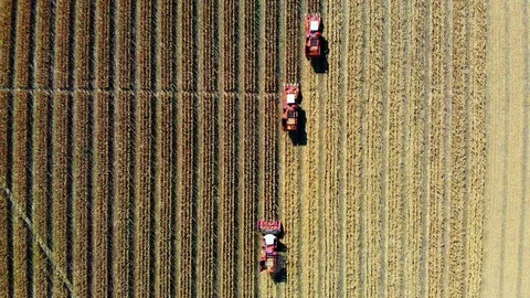 Aerial top view. three big red combine h... | Stock Video | Pond5