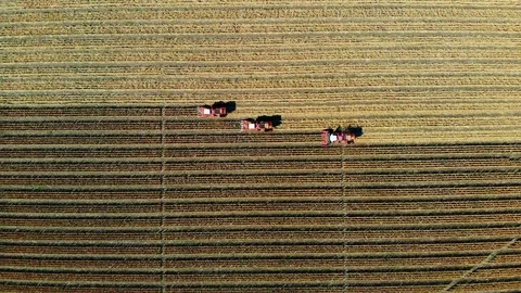 Aerial top view. three big red combine h... | Stock Video | Pond5