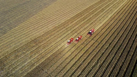 Aerial top view. three big red combine h... | Stock Video | Pond5