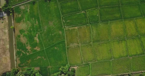 Aerial top view top view of the road thr... | Stock Video | Pond5