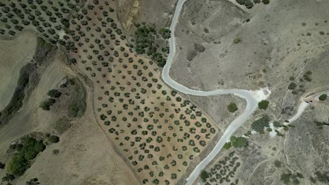 Aerial top view video of the farm field ... | Stock Video | Pond5