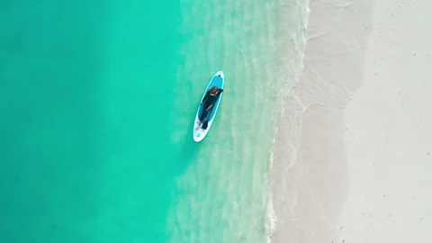 Aerial top view of a woman on a surfboar... | Stock Video | Pond5