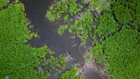 Aerial topdown of floating grass waving ... | Stock Video | Pond5