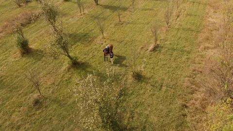 Aerial tracking drone shot of girl and h... | Stock Video | Pond5
