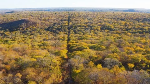 Aerial tree top view of the game fence m... | Stock Video | Pond5