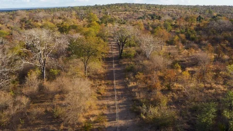 Aerial tree top view of the game fence m... | Stock Video | Pond5
