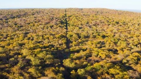 Aerial tree top view of the game fence m... | Stock Video | Pond5